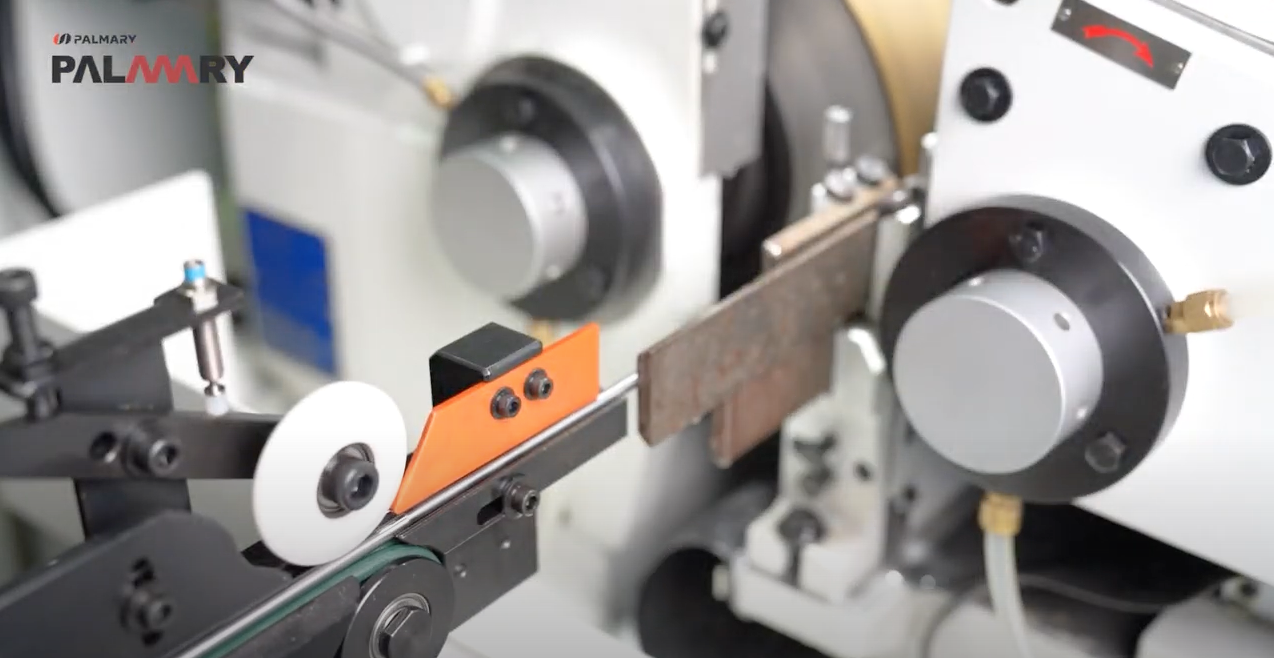 Media - Palmary America